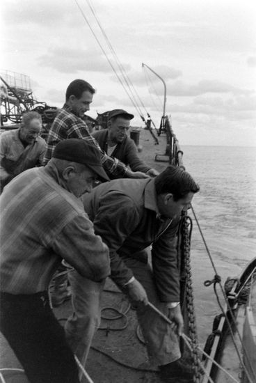 Men Pulling On Rope Pine Ridge Editorial Stock Photo - Stock Image ...