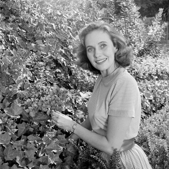 Actress Teresa Wright Posing Photo September Editorial Stock Photo ...