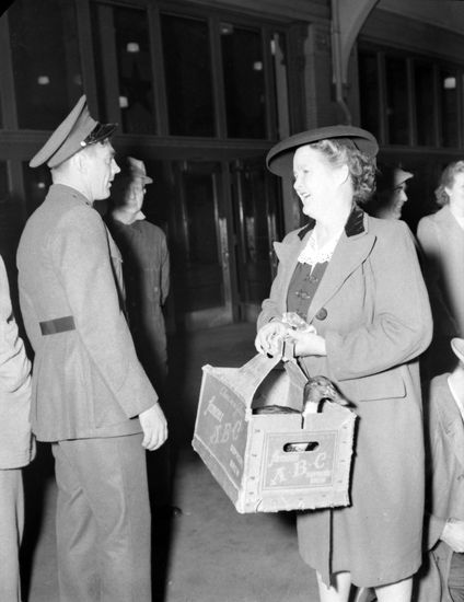 Siwash Marine Duck Inside Box 1944 Editorial Stock Photo - Stock Image ...