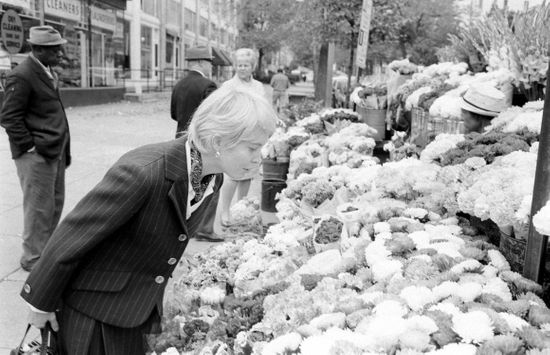 Cathy Douglas Looking Flowers 1967 Editorial Stock Photo - Stock Image ...