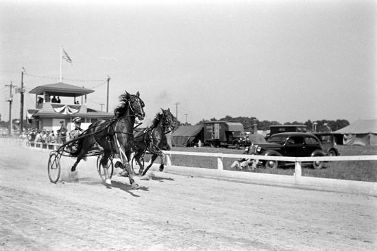 Man Riding Gig During Harness Racing Editorial Stock Photo - Stock ...
