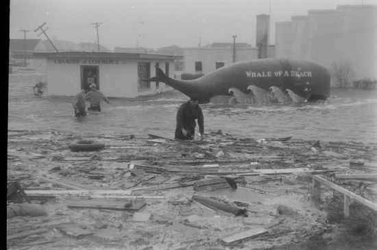 Aftermath Hurricane Hazel Washington North Carolina Editorial Stock ...