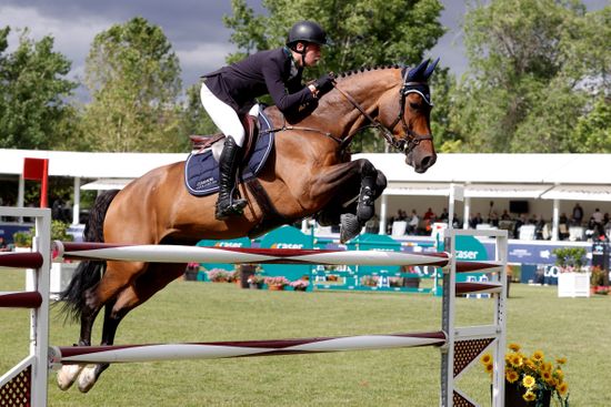 Irish Rider Max Wachman Rides Horse Editorial Stock Photo - Stock Image ...