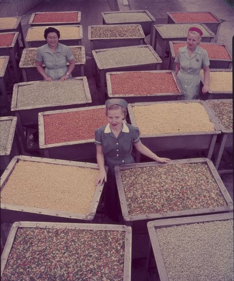 Women Working Factory Seabrook Farms New Editorial Stock Photo - Stock ...