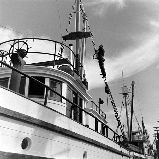 Man Climbing On Ladder Aboard Ship Editorial Stock Photo - Stock Image ...