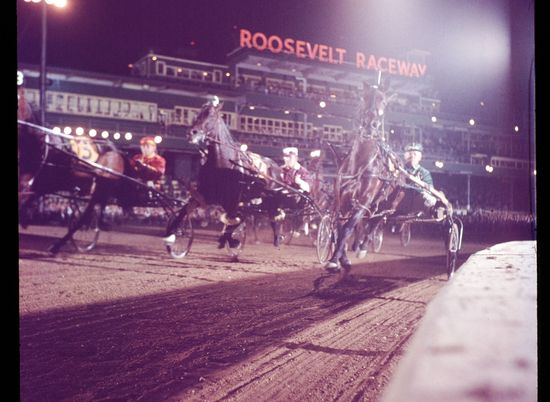 Men Participating Harness Racing Roosevelt Raceway Editorial Stock ...