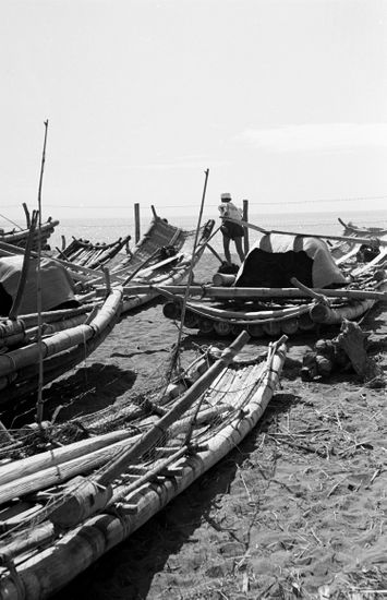 Man Pulling Bamboo Raft Taiwan 1950 Editorial Stock Photo - Stock Image ...