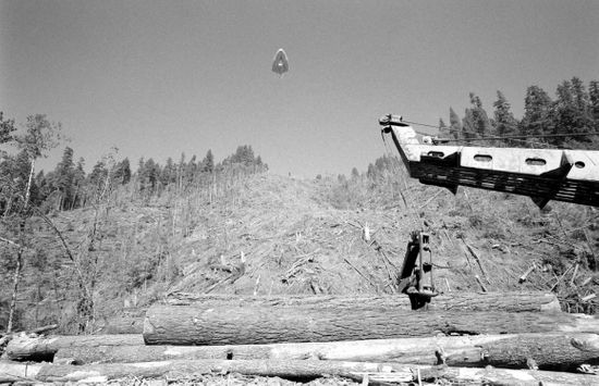 Helium Balloon Flying During Logging Operations Editorial Stock Photo ...