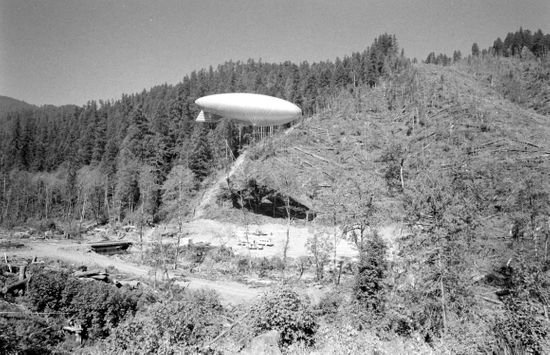 Helium Balloon Flying Over Trees Logging Editorial Stock Photo - Stock ...
