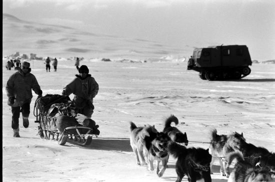 American Scientists Pushing Sleigh During Operation Editorial Stock ...