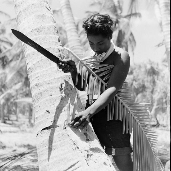Soldier Cutting Palm Leaves During World Editorial Stock Photo - Stock ...