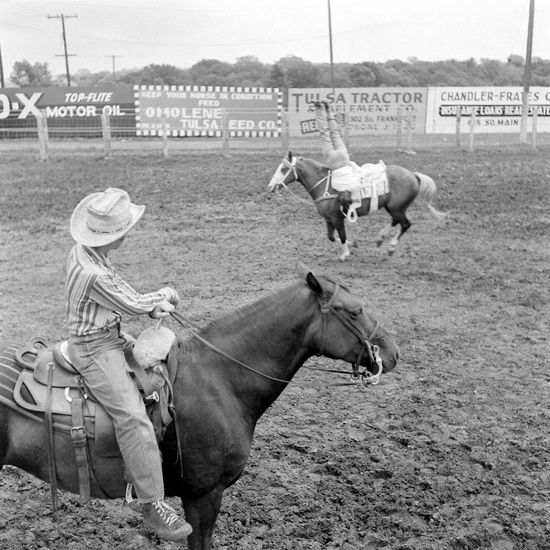 Tulsa Mounted Troops Riding Horses Junior Editorial Stock Photo - Stock ...