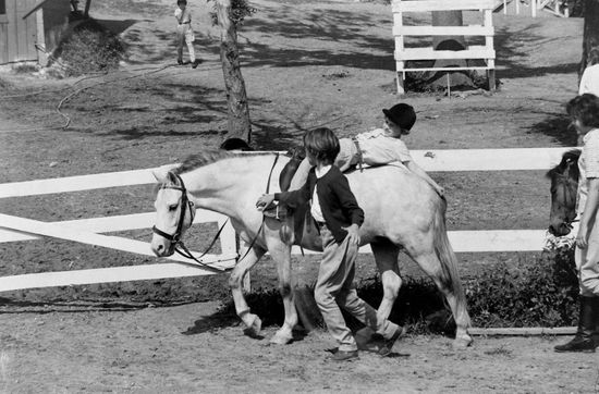 Children Riding Horses Full Cry Farm Editorial Stock Photo - Stock ...
