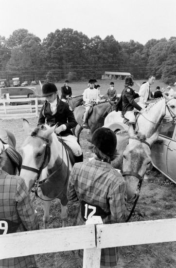 People Riding Horses Full Cry Farm Editorial Stock Photo - Stock Image ...