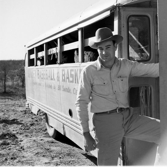 Man Posing Bus Ferrying Donkeys Donkey Editorial Stock Photo - Stock ...