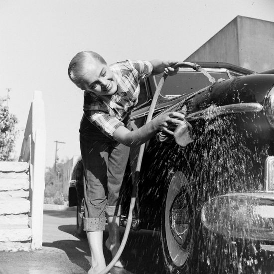 American Actress Lizabeth Scott Washing Car Editorial Stock Photo ...