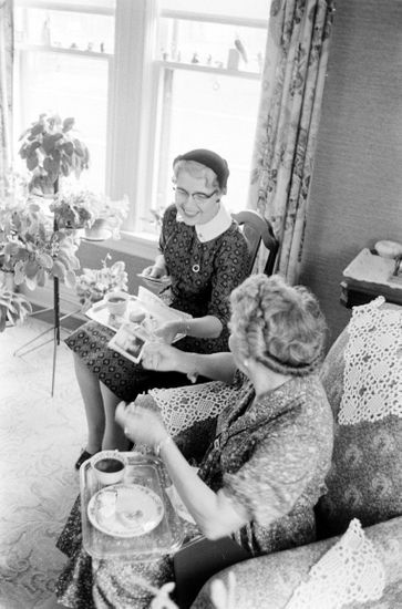 Women Celebrating Mrs Kemp 50 Years Editorial Stock Photo - Stock Image ...