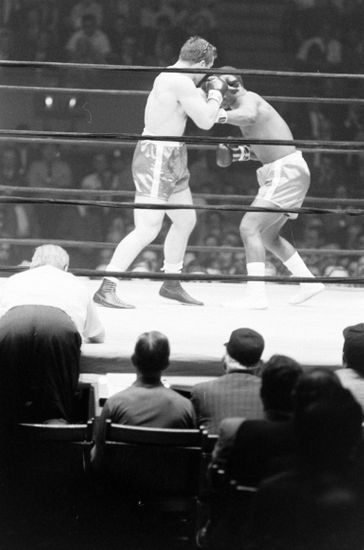 Men Boxing Madison Square Garden New Editorial Stock Photo - Stock ...