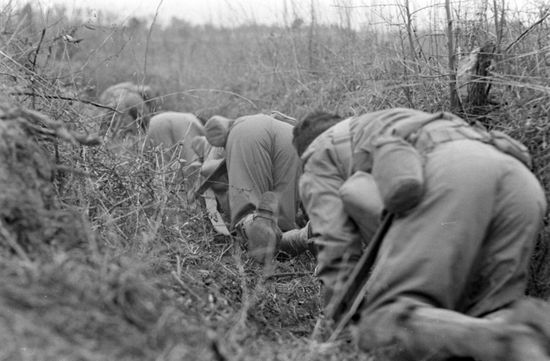 Soldiers Crawling During Their Training World Editorial Stock Photo ...