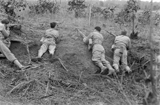 Soldiers Crawling During Training World War Editorial Stock Photo ...