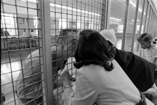 Inmate Kissing His Wife Soledad State Editorial Stock Photo - Stock ...