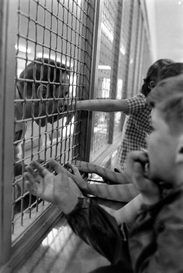 Inmate Kissing His Daughter Soledad State Editorial Stock Photo - Stock ...