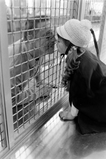 Inmate Kissing His Child During Their Editorial Stock Photo - Stock ...