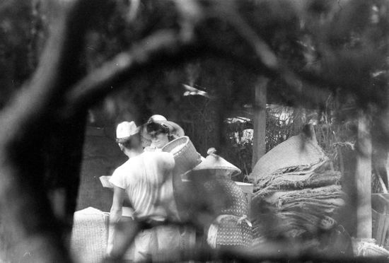 American Exchange Student Pouring Paddy Into Editorial Stock Photo ...