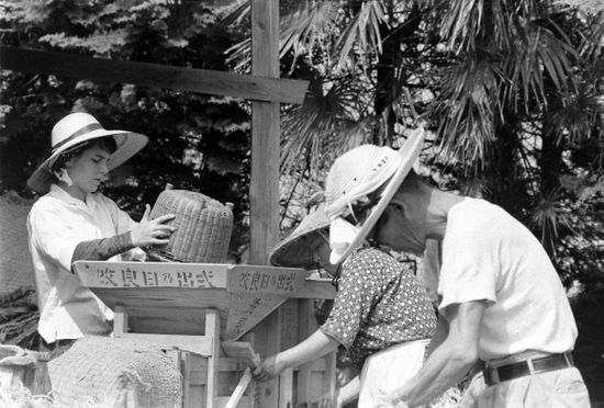 American Exchange Student Pouring Paddy Into Editorial Stock Photo ...