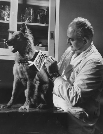 Dr Adrian Kantrowitz Adjusting Transmitter Booster Editorial Stock ...