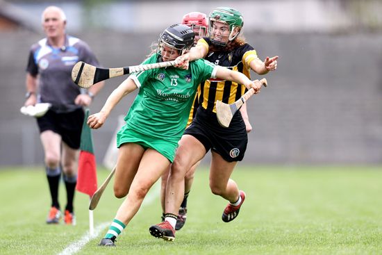 Kilkenny Vs Limerick Limericks Aine Cunningham Editorial Stock Photo ...