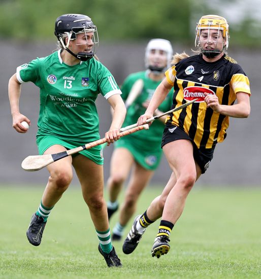 Kilkenny Vs Limerick Limericks Aine Cunningham Editorial Stock Photo ...