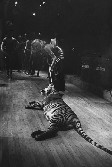 Actress Marilyn Maxwell Using Tiger Her - Foto de stock de contenido ...