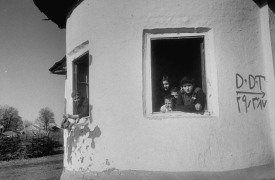 March 1951 Ddt Sign On Side Editorial Stock Photo - Stock Image ...