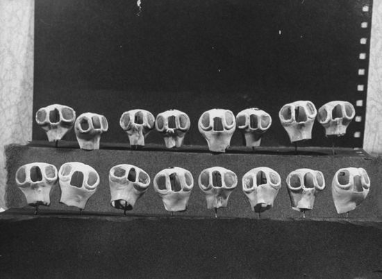 Dr Eckhard Hess Visual Perception Experiment Editorial Stock Photo ...