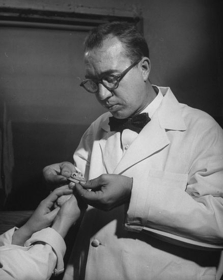 Scientist Dr Eckhard Hess Putting Rubber Editorial Stock Photo - Stock ...
