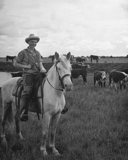 Kansas Farm Boy Dan Gardner On Editorial Stock Photo - Stock Image ...