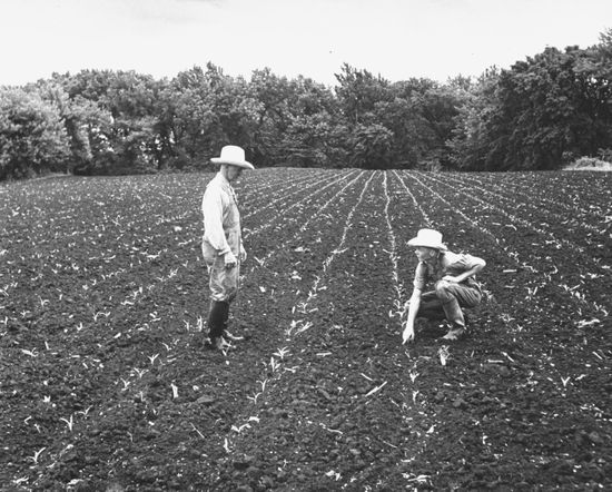 Kansas Farm Boy Dan Gardner His Editorial Stock Photo - Stock Image ...