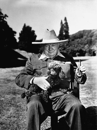 Sir Winston Churchill Wearing Straw Hat Editorial Stock Photo - Stock ...