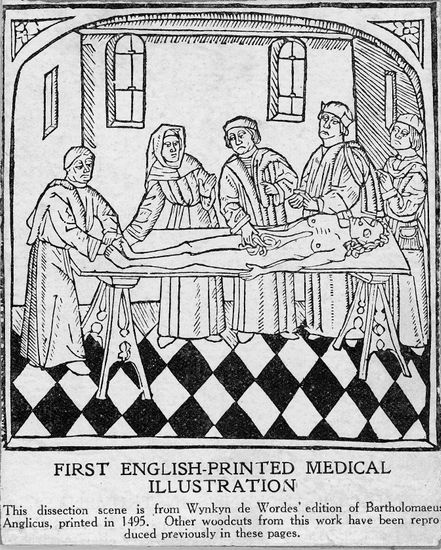 Woodcut Dissection Scene Wynkyn De Wordes Editorial Stock Photo - Stock ...