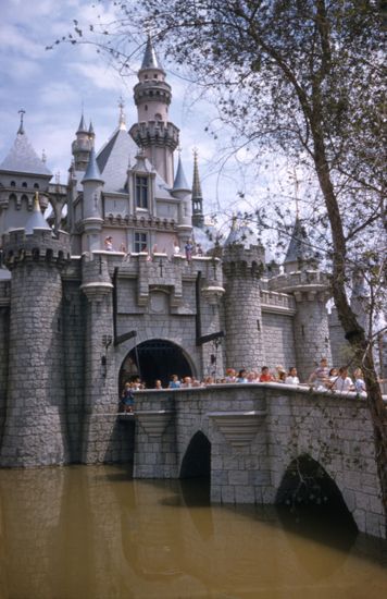 Children Crossing Drawbridge Over Moat Disneyland Editorial Stock Photo ...