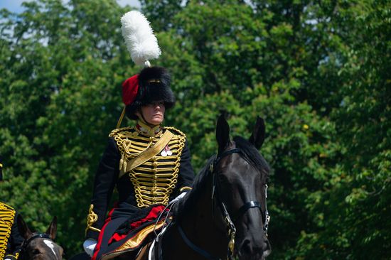 Kingss Troop Royal Horse Artillery Riding Editorial Stock Photo - Stock ...