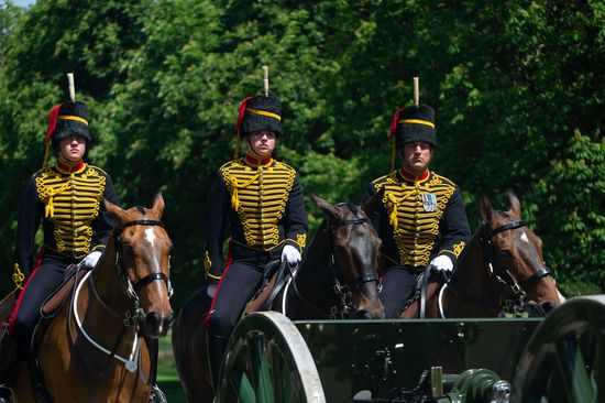 Kingss Troop Royal Horse Artillery Riding Editorial Stock Photo - Stock ...