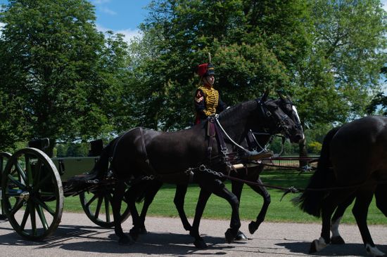 Kingss Troop Royal Horse Artillery Riding Editorial Stock Photo - Stock ...
