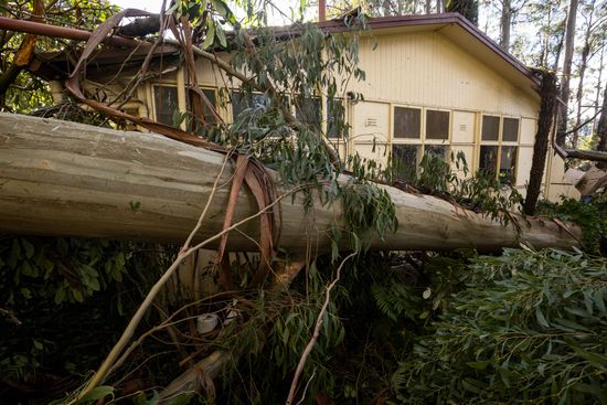 Aftermath Severe Wind Gusts Mt Dandenong Editorial Stock Photo - Stock ...