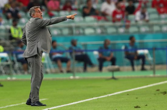 Turkeys Head Coach Senol Gunes Reacts Editorial Stock Photo - Stock ...