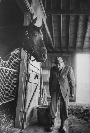 Trainer Jim Sunny Fitzsimons Aqueduct Track Editorial Stock Photo ...
