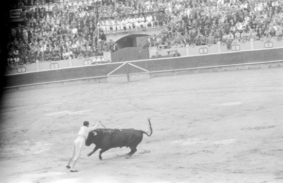 Spanish Bullfighter Luis Miguel Dominguin Plunging Editorial Stock ...