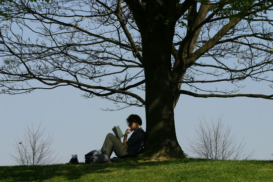 Young Man Reading Book Under Tree Editorial Stock Photo - Stock Image ...