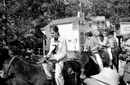 English Model Actress Twiggy Riding Mules Editorial Stock Photo - Stock ...